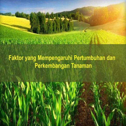Faktor yang Mempengaruhi Pertumbuhan dan Perkembangan Tanaman: Genetik ...