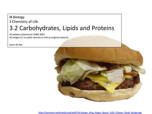 Carbohydrates, Lipids and Proteins | PPTX | Chemistry | Science