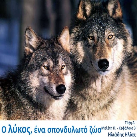 Εννοιολογικά πλάνα των μαθημάτων Ιστορίας Δ΄ | PDF