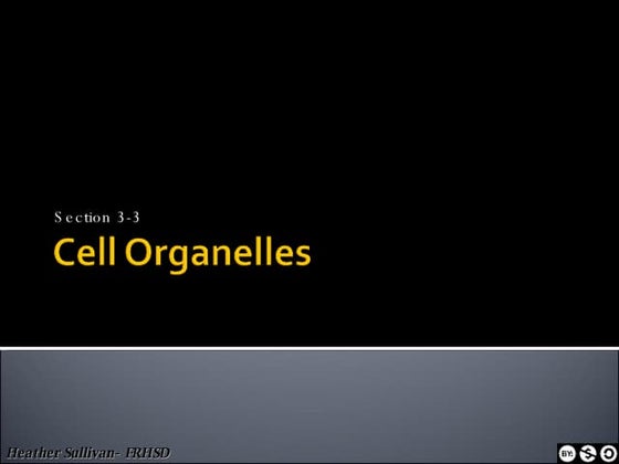 Cell organelles | PPT