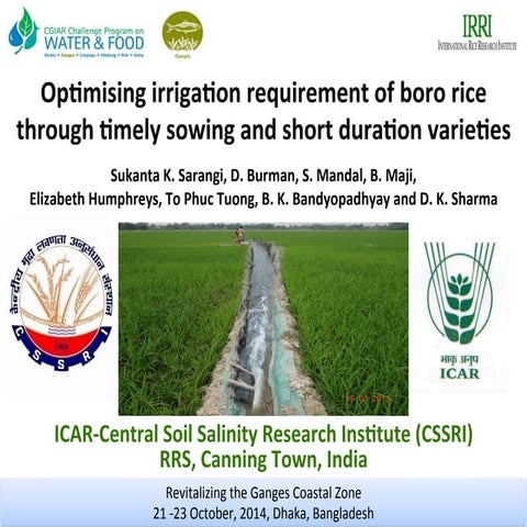 Optimising irrigation requirements of boro rice through timely sowing ...