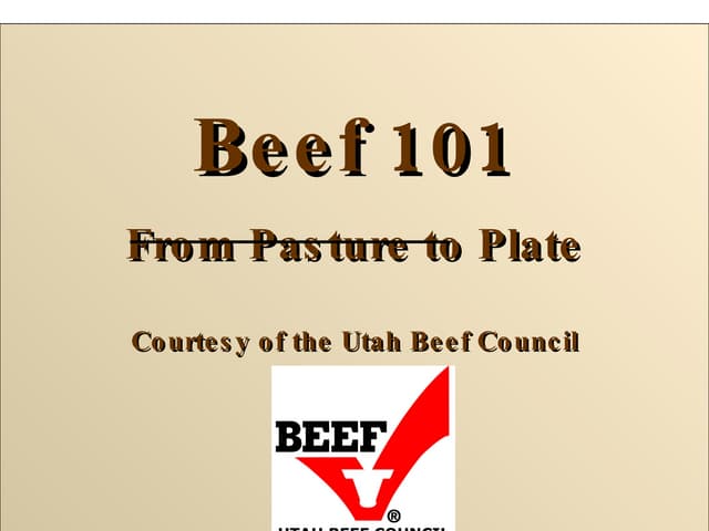 Beef Lecture Ppt