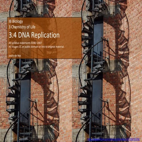 IB Biology Core 3.4: DNA Replication | PPTX | Chemistry | Science