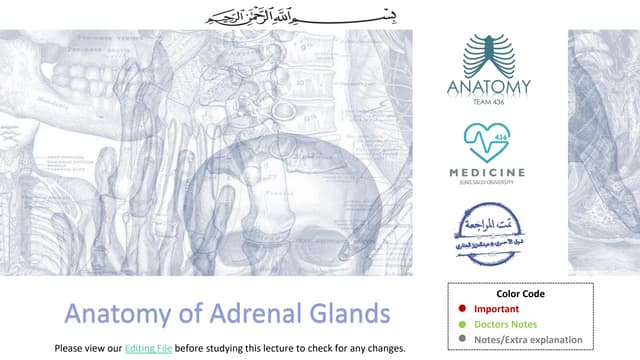Anatomy of Suprarenal (Adrenal) Glands.pptx