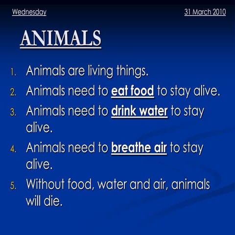 3.animals | PPSX