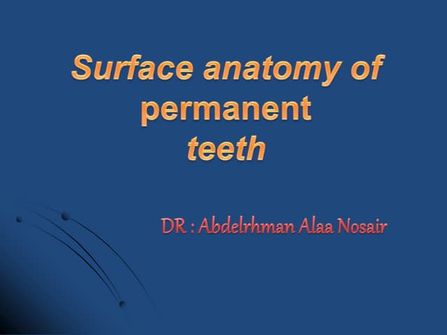 Permanent Mandibular Central Incisor | PPTX
