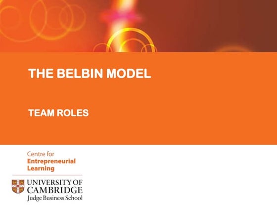Belbin Team Roles / Inventory | PDF | Business and Finance