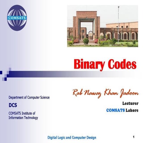 3-binary-codes_rab-nawaz COMSATS prof.pdf