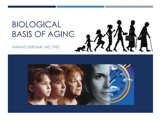 Biology of Aging | PPT