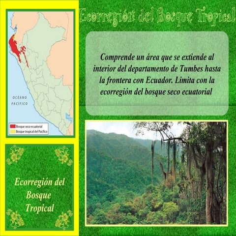 Mapa Del Bioma Del Bosque Seco Tropical