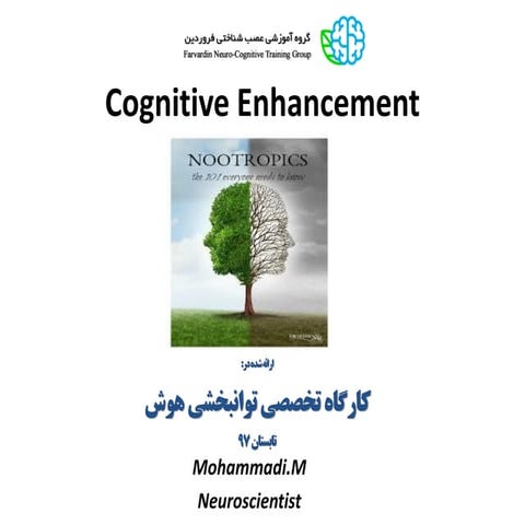Cognitive Enhancement | PDF