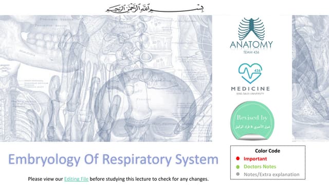 Chapter 1 fetal lung development | PPTX