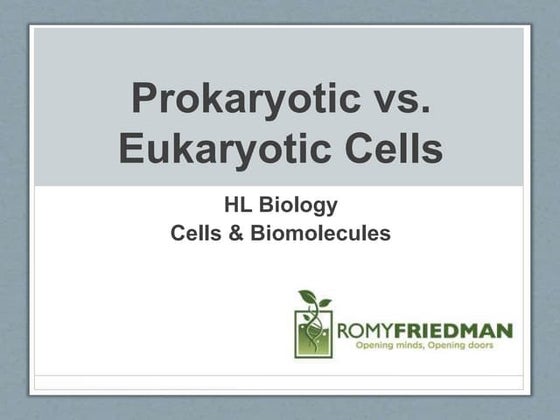 Chapter 2 Prokaryotic and Eukaryotic Cells | PPT