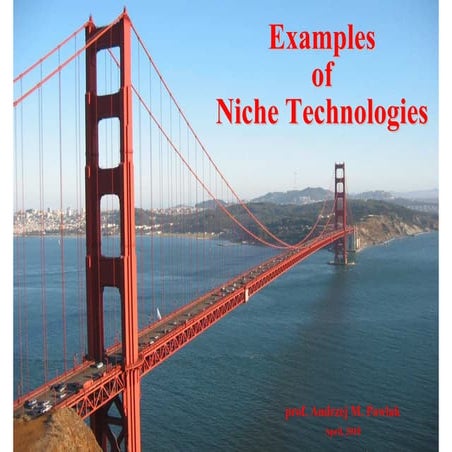 Examples of niche technologies PG (INNOPOMERANIA) | PDF