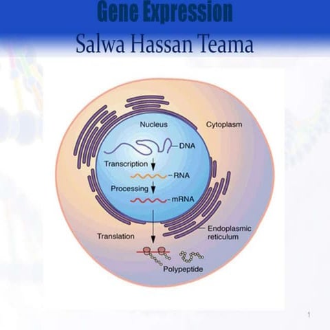 GENE EXPRESSION.pptx