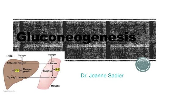 Gluconeogenesis | PPT
