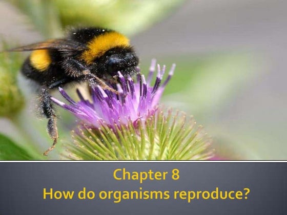 How do organisms reproduce.ppt