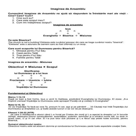 3. Imaginea de ansamblu - Misiunea notite | PDF