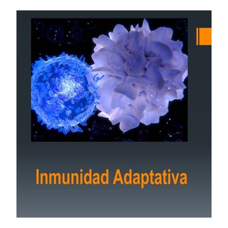 inmunidad adaptativa | PPTX