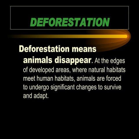 PROJECT BASIC 6.pptx