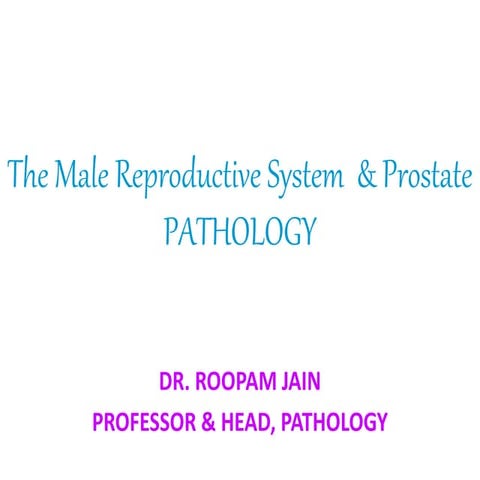 The Male Reproductive System & Prostate Pathology | PPTX