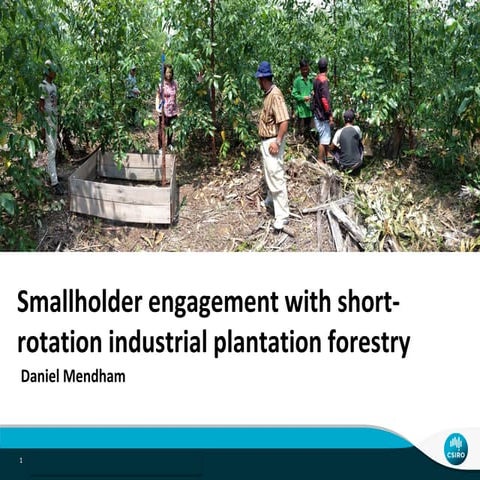 Smallholder engagement with short-rotation industrial plantation ...