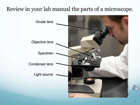 Microscope | PPT