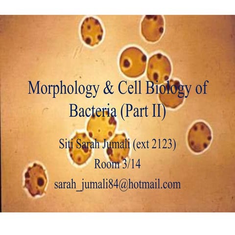 Bacterial morphology & anatomy