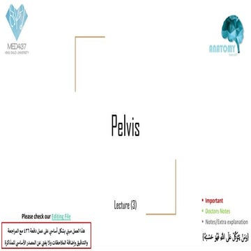 Pelvic Floor Anatomy | PPT