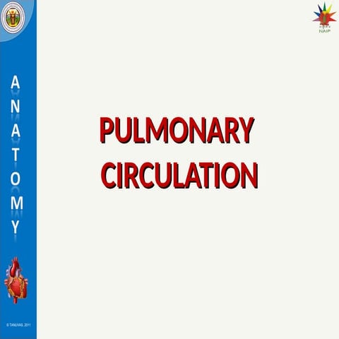 Aorta, SVC, PULMONARY TRUNK.pptx