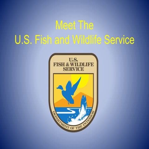 Meet the U.S. Fish and Wildlife Service | PPT