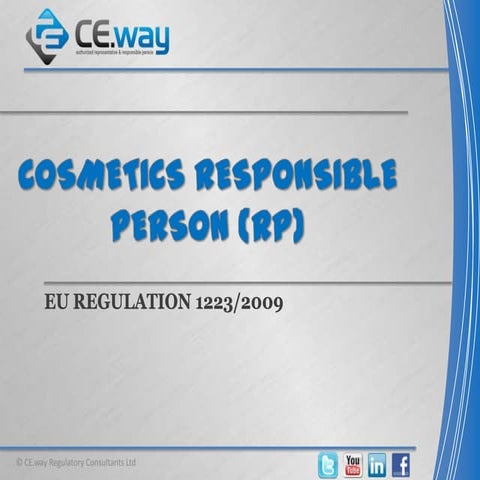 Cosmetics responsible person EU | PPTX | Personal Care | Style & Fashion