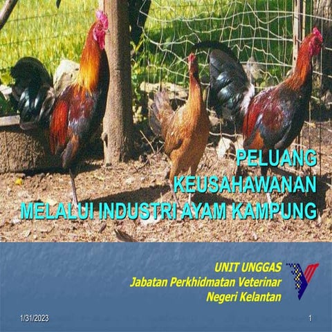 3 - Sistem pemeliharaan Ayam Kpg.ppt