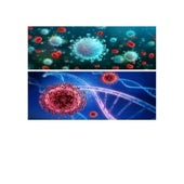 3-step prevention covid-19 | PDF