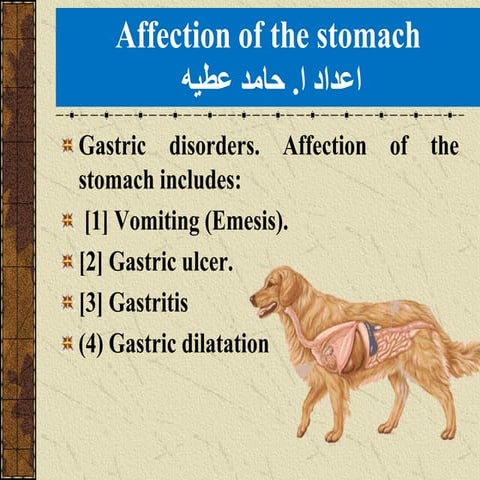 affections of stomach in pet animals | PDF
