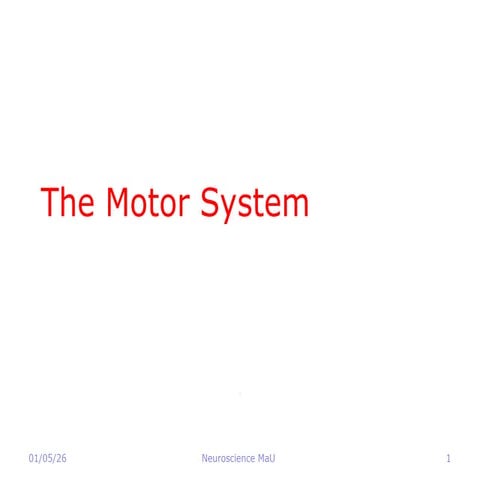 3-The Motor System Physiology.ppt by mok | PPT
