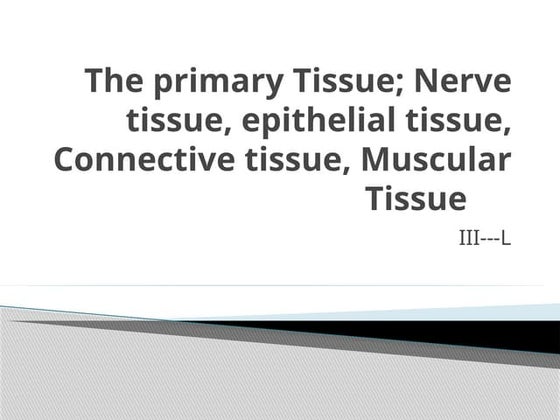 In detail, compare and contrast epithelium and connective tissue..pdf