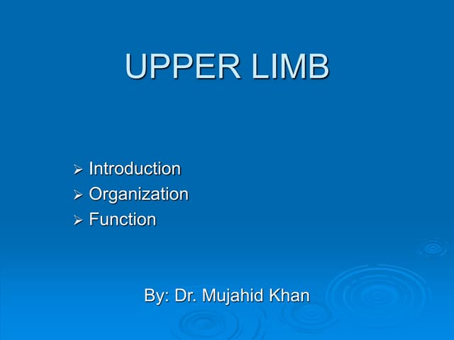 21-Vascular anatomy of the lower limb.pptx