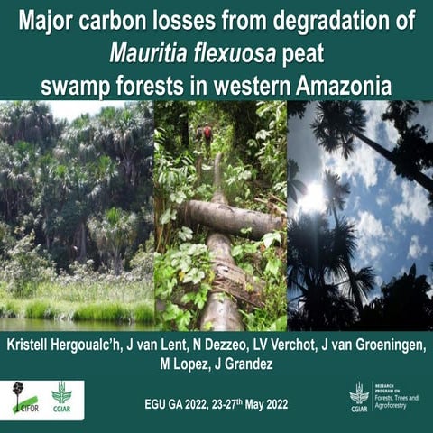 Major CO2 losses from degradation of Mauritia flexuosa peat swamp ...