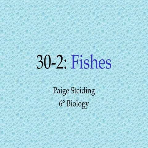 Fishes | PPT