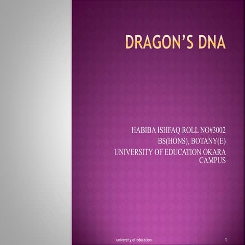 Dragon's DNA | PPT