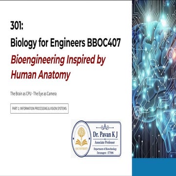 Comprehensive Overview of Cryotechniques and Their Diverse Applications ...