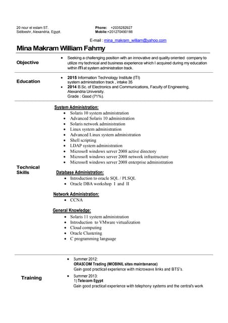 Hesham ezzat cv | PDF