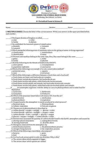Cells songs-and-lyrics | PDF
