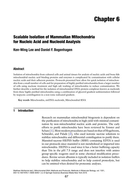 preparation of genomic DNA from bacteria.pdf