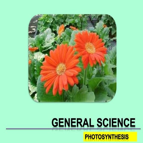 Photosynthesis | PPT