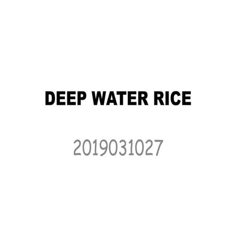 DEEP WATER RICE | PPTX
