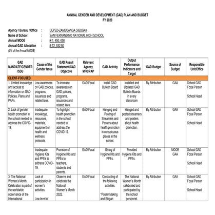 303868-San Fernandino NHS GAD Plan and Budget 2023.pdf