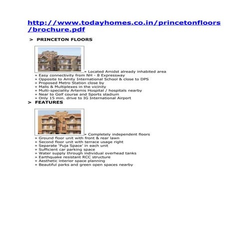 PRINCETON FLOORS | DOC | Civil Engineering Industry | Industries