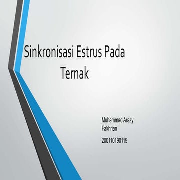 304988266-PPT-FIX.pptx, Sinkronisasi Estrus | PPTX